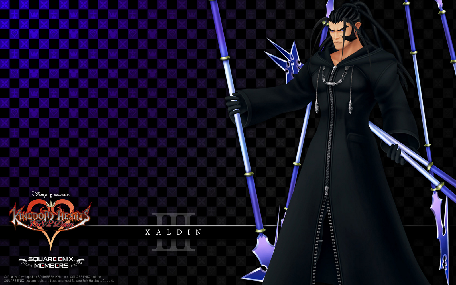Final Kingdom: Organization XIII wallpapers.