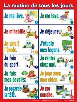 Blog de Français Collège Anna Frank Pistoia: TERZE: La routine quotidienne