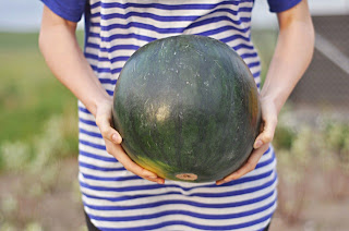 Leafy Greens Local Food and Market: Watermelon, Watermelon!