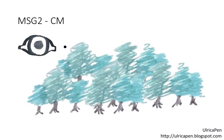 Ulrica Pen in Aviation: Aircraft Maintenance - What is MSG?