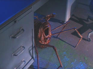 The Thing 1982 Spider Head