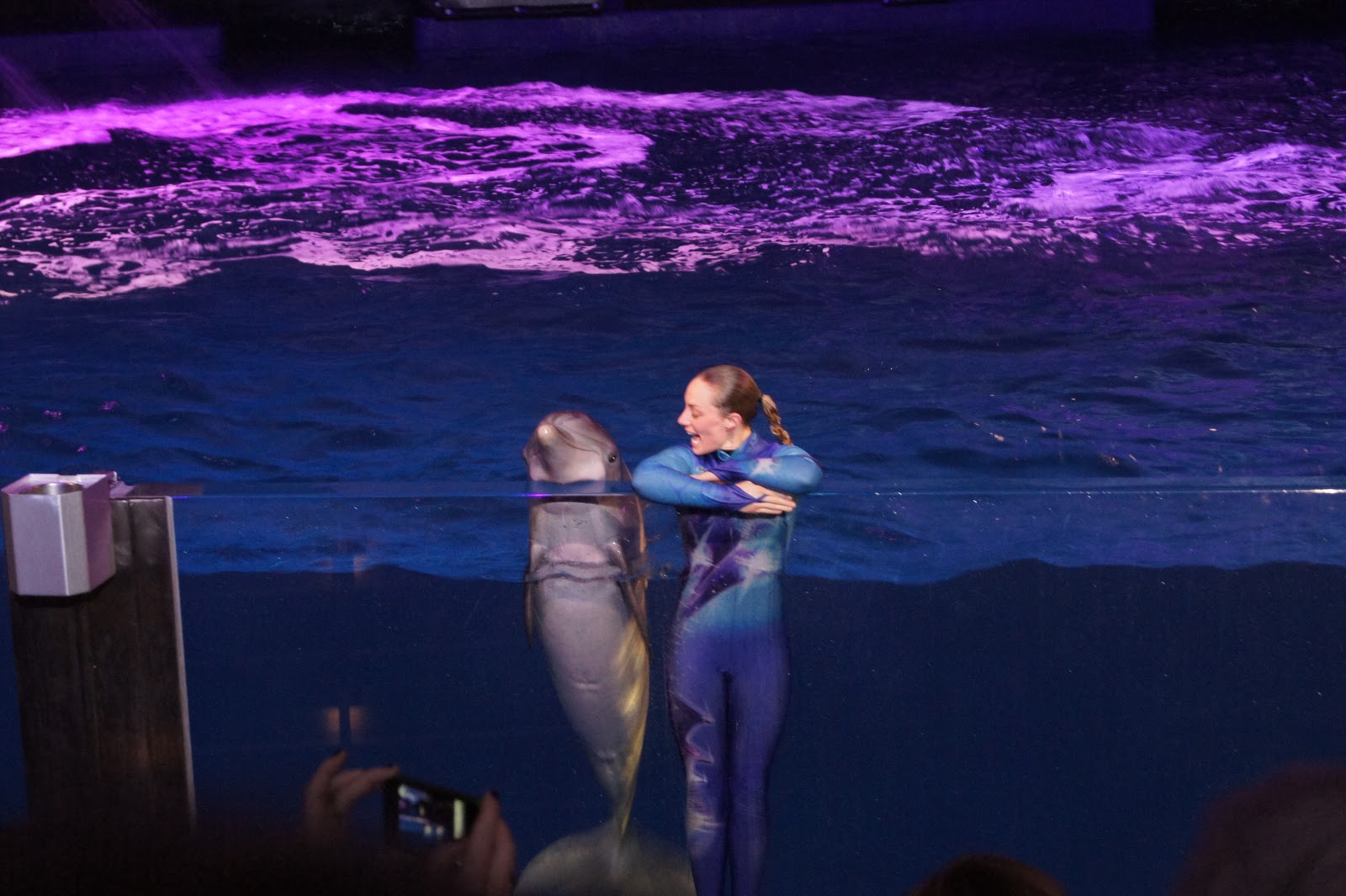Your Event Solution Blog: Event Spotlight: AT&T Dolphin Tales Opening ...
