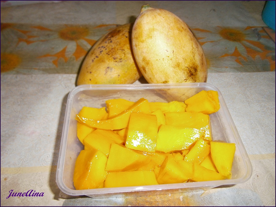 Perlis Sunshine | Rider Sejati