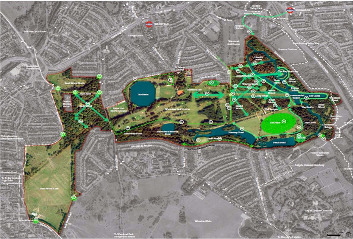 Wanstead Birding: Feedback Fortnight and other stuff...