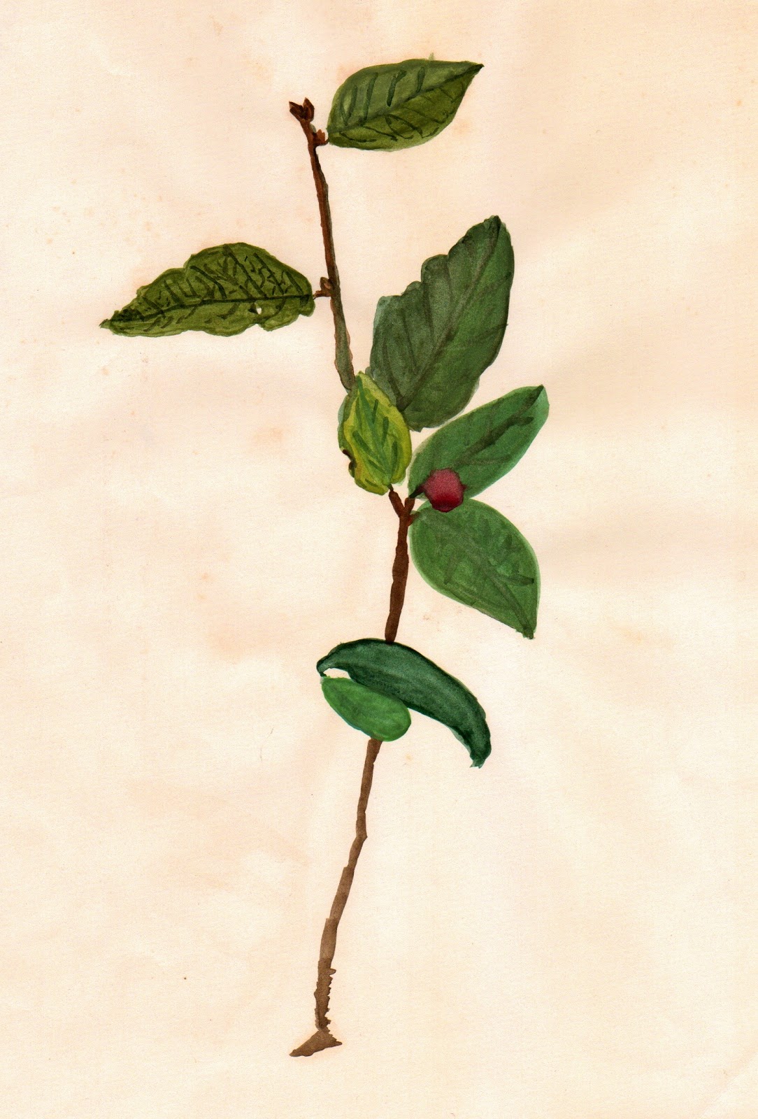 Mid-Life Craftis: Momigami - 'kneaded paper'