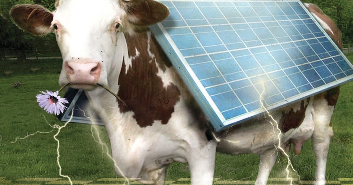 Neighbors of Easton: The Electric Cow: A Stampede of 10-Minute Plays