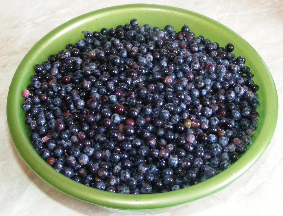 Suc de struguri la blender | Preparatedevis.ro