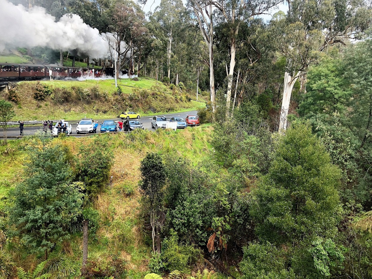 thisdannsworld: Day trip from Melbourne – Visit Dandenong Ranges ...