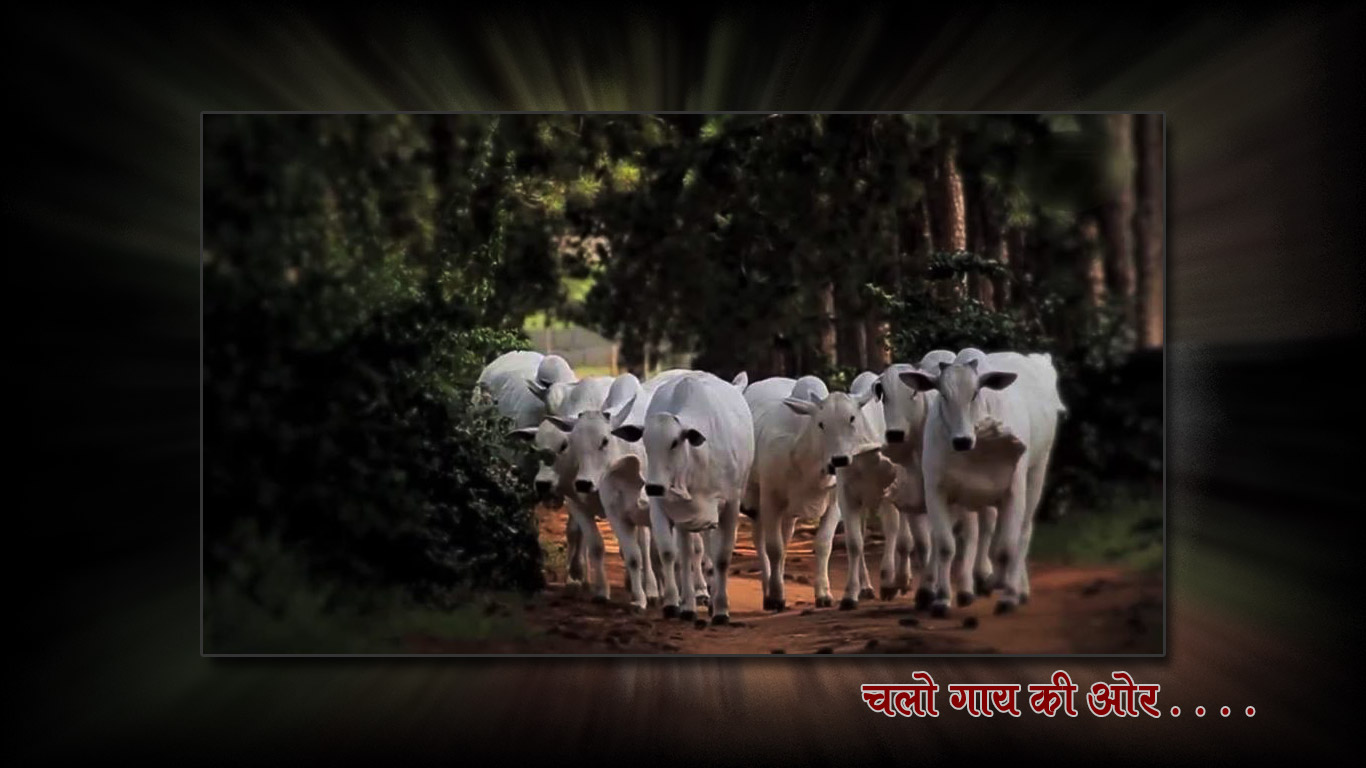 PANCHGAVYAMRIT.BLOGSPOT.COM