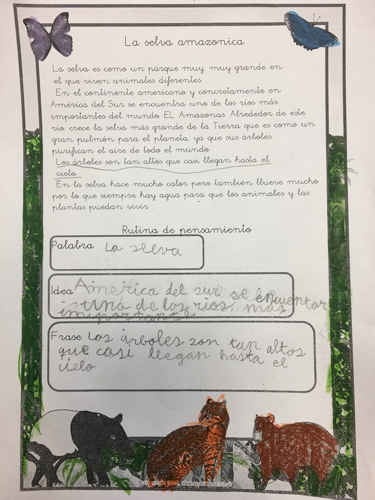 El blog de nuestros peques 1º y 2º : AMERICA DEL SUR_ LA SELVA AMAZONICA