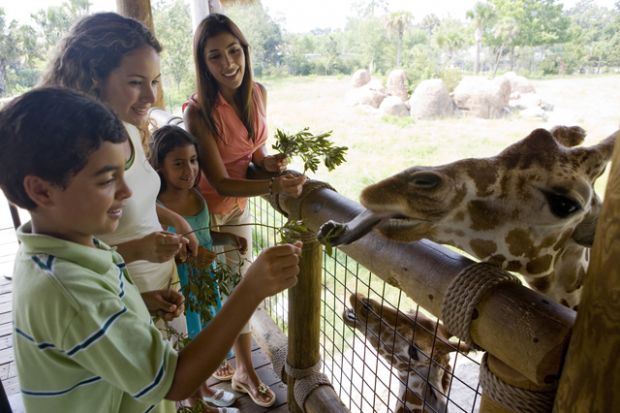 Every Day Is Special: December 27 – Visit the Zoo Day