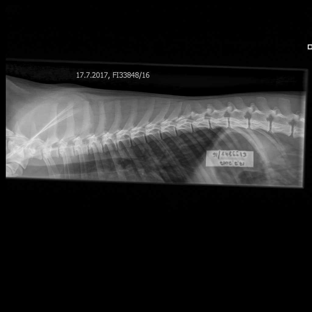 Lappalaiset luustokuvissa