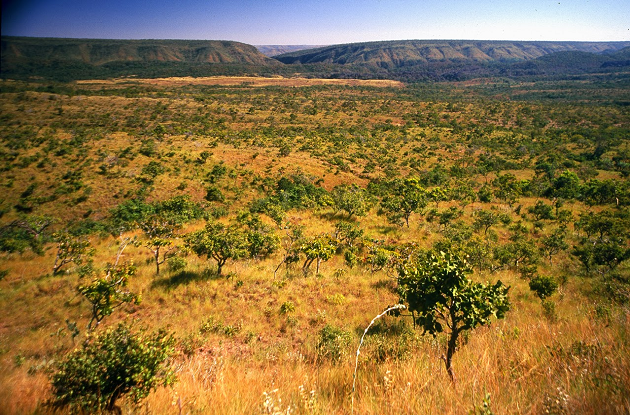 Meio Ambiente: O Desenvolvimento Sustentável da agricultura no cerrado ...