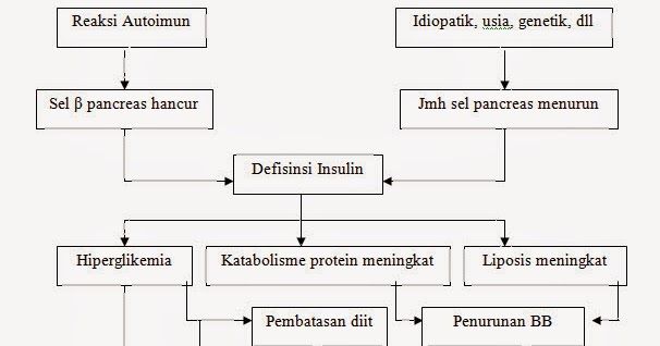 Blog Wijj: Asuhan Keperawatan Dengan Diabetes Mellitus