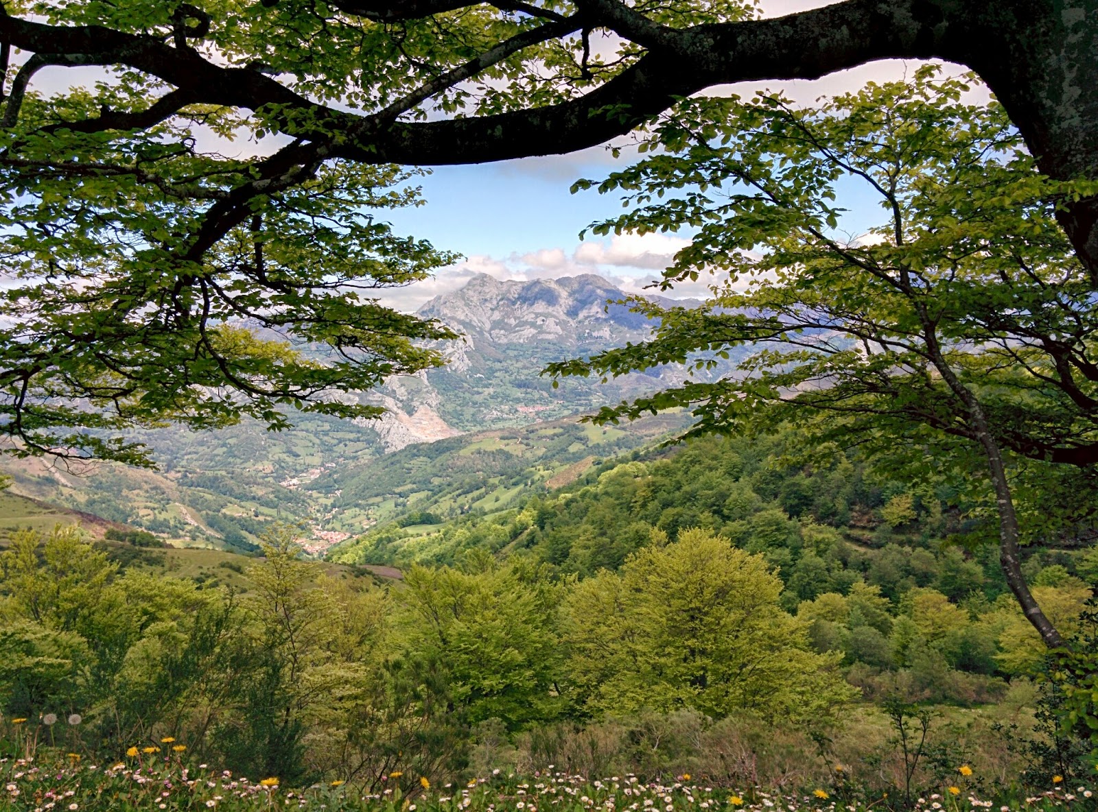 A lo bouzo: Alto de la Texera desde Cotobello [Aller]