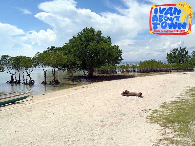 Bohol: Rare Pride Campaign launched for Inabanga's Hambongan Island ...