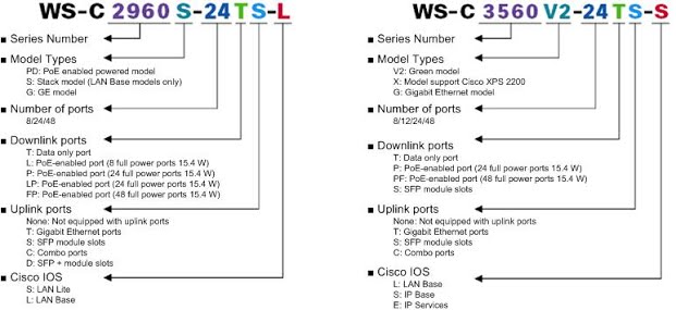 Understanding Cisco Switch Naming Convention ~ Network & Security ...