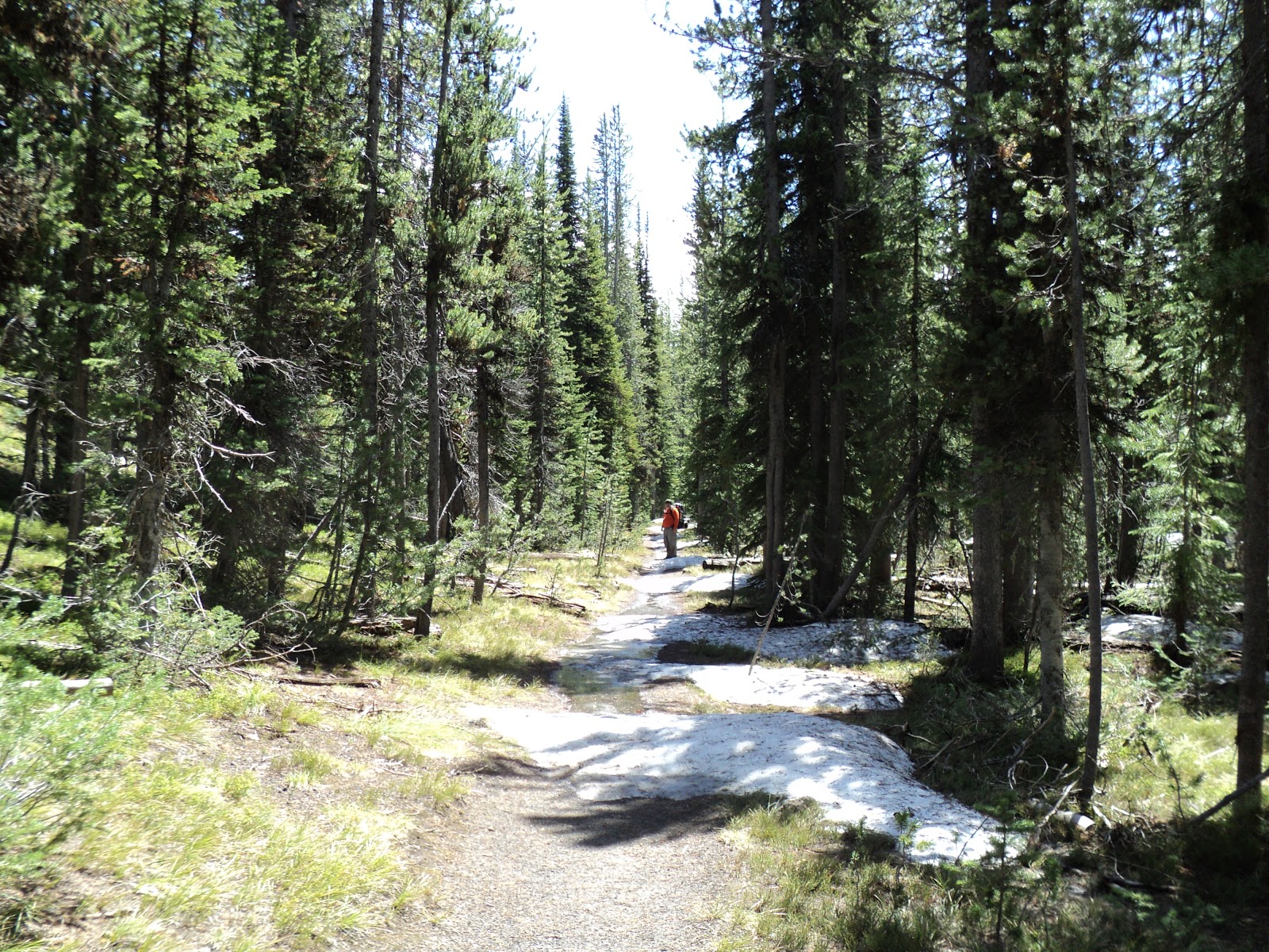Blissful Hiking: Thankful for Triple Crown Trails!