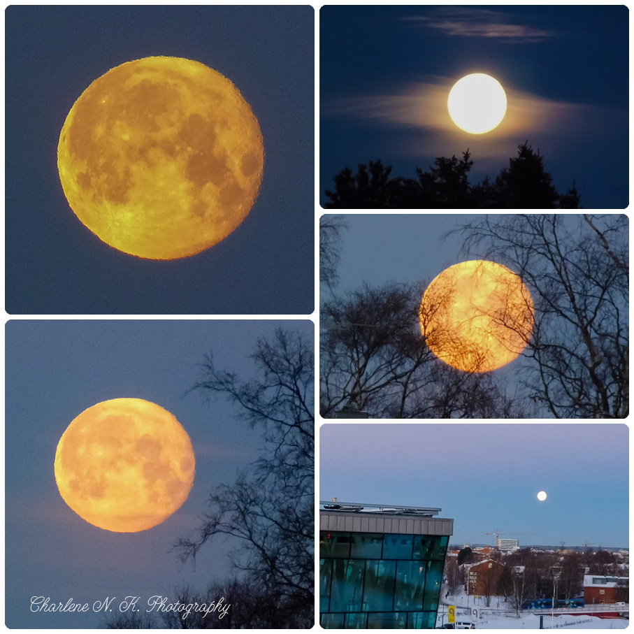 Year 2016's Finale |Blissful Solitary Wanderings