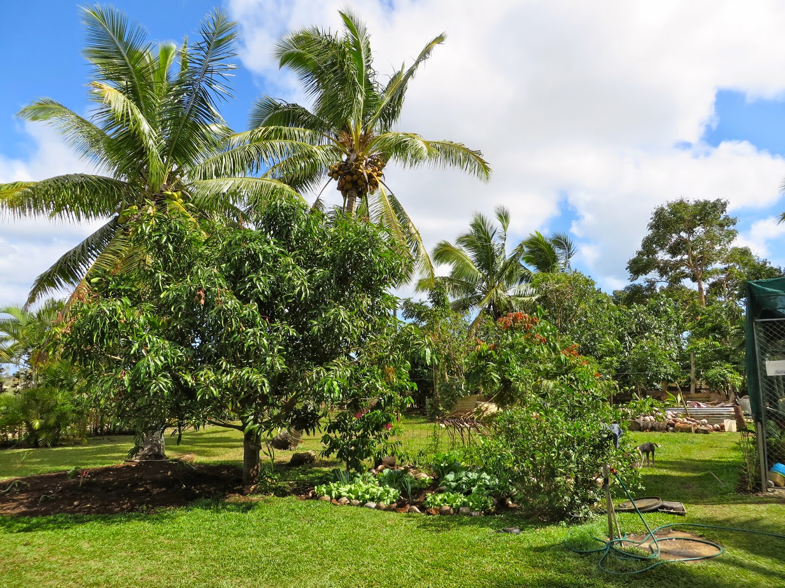 Ako 'a e 'Ulungaanga Faka-Tonga: Ko Hoku Fãmili Tonga (My Tongan Family)