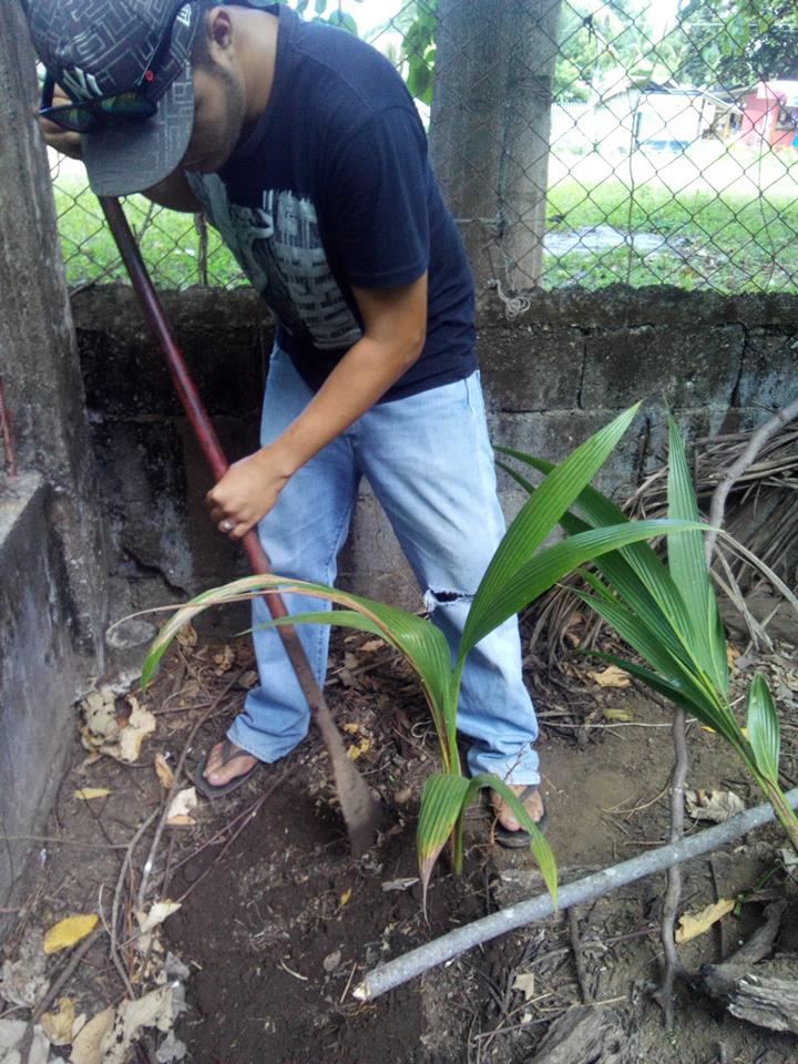 Mag Tree Planting Din Kayo ~ BAHAY KUBO