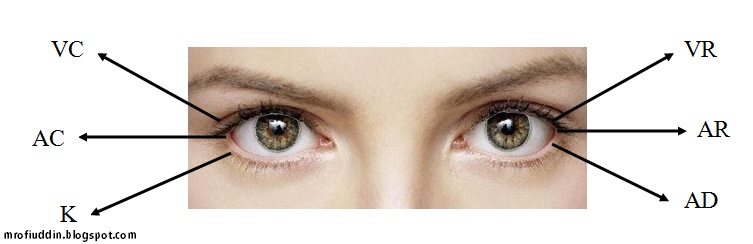 Tips Dan Trik mengetahui orang berbohong atau tidak melalui pandangan ...