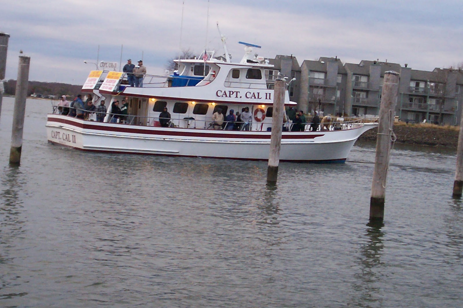 Capt Cal Belmar A good day of FLUKE fishing 6-20-13 | BASS BARN