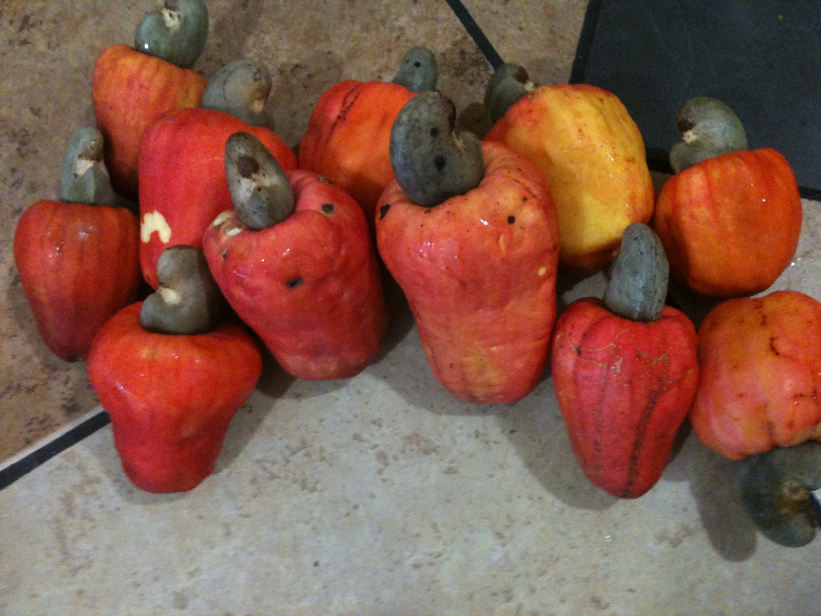 The Sunnyside of Mexico (She Said): MARVELLOUS MARANON OR BETTER KNOWN AS…