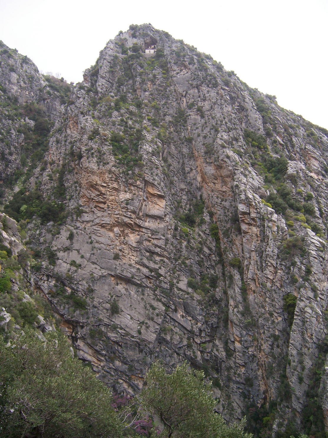 Full of Grace and Truth: The uncovering of the Holy Relics of St ...