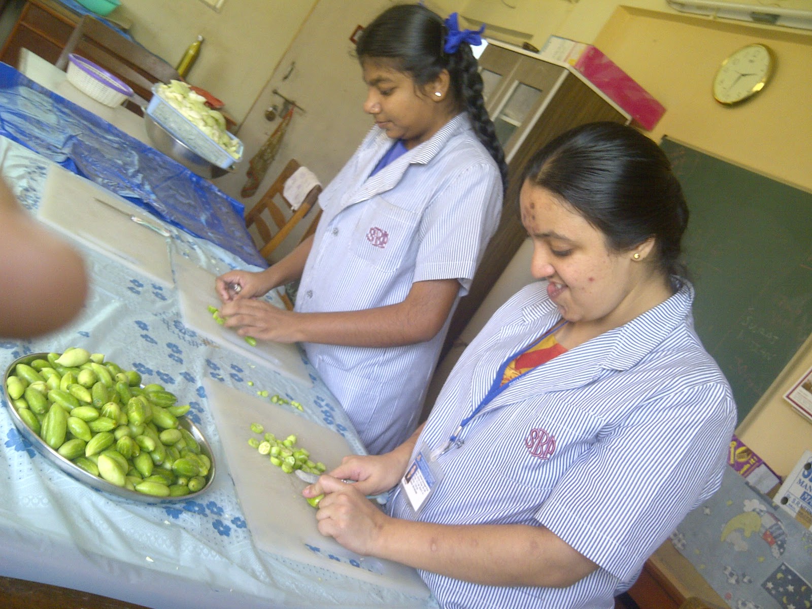Warm Touch Pre vocational Home Science Activity For MR Child warm-touch-pre-vocational-home-science-activity-for-mr-child
