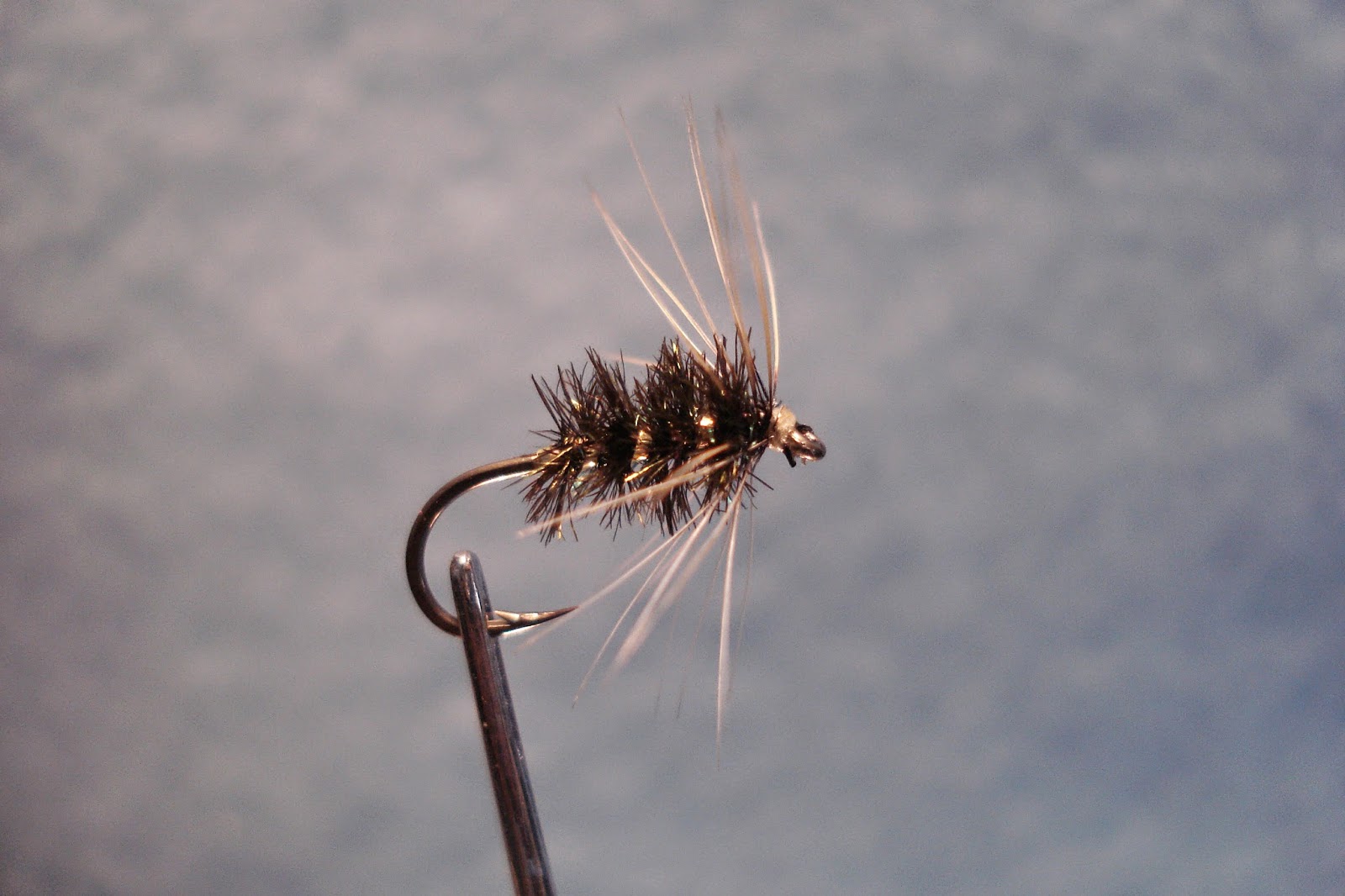 SOFT HACKLES, TIGHT LINES: Gray Hackle