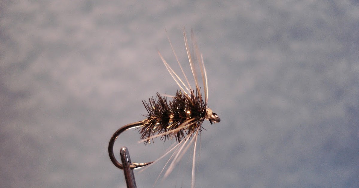 SOFT HACKLES, TIGHT LINES: Gray Hackle