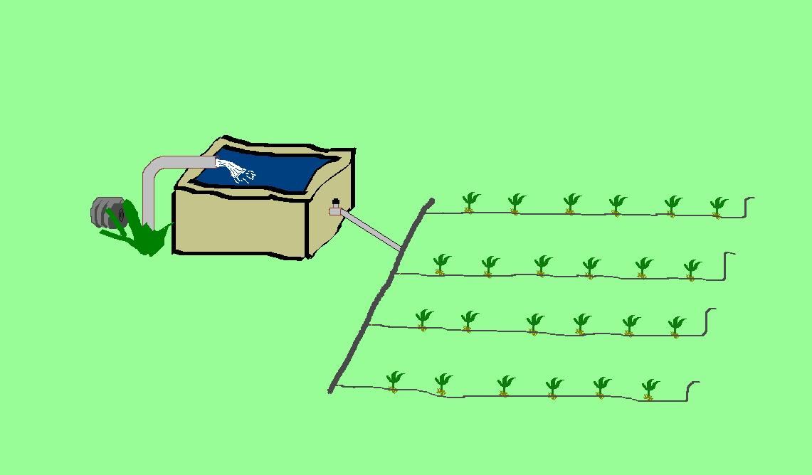 Organic micro farm and vegetable terrace garden : Micro Vegetable ...