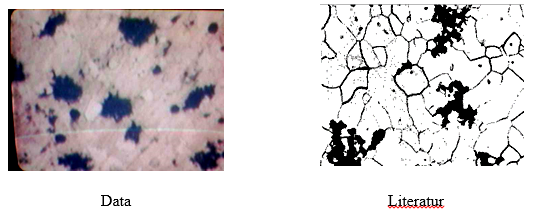 Laporan Praktikum Material Teknik Percobaan Analisa Struktur Mikro ...