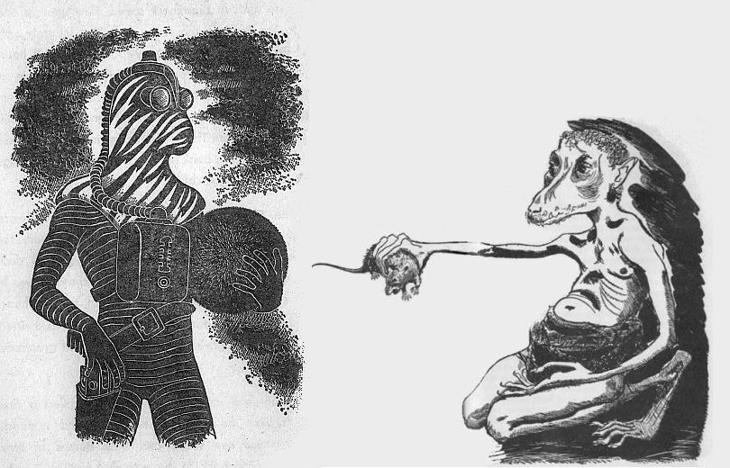 Steve Zipp: July 2016