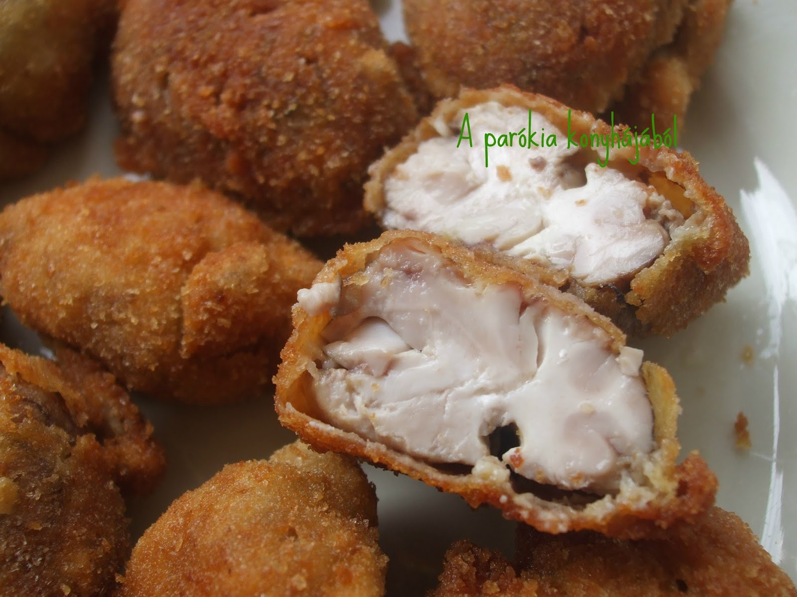 A parókia konyháján túl: Teremtés vagy evolúció? 3. rész.Tojásos és ...