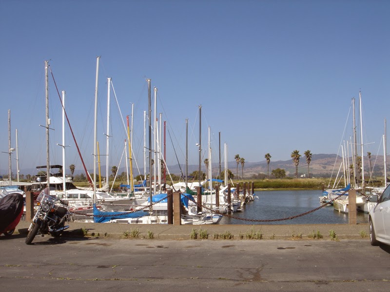 Cakes And Ale: Edgerly Island