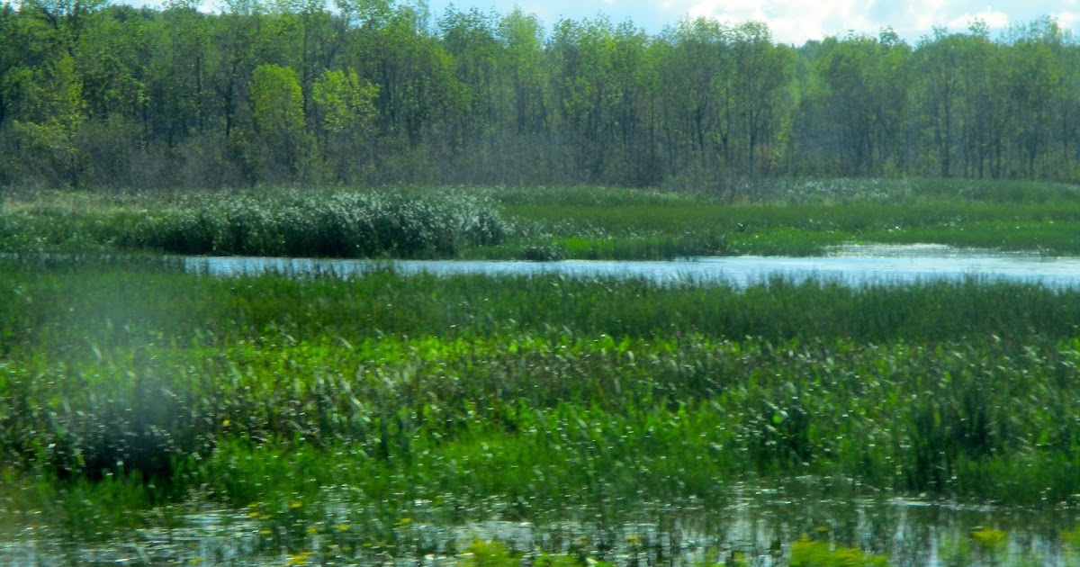 Art's Bayfield Almanac: HOW HIGH'S THE WATER, MAMA?