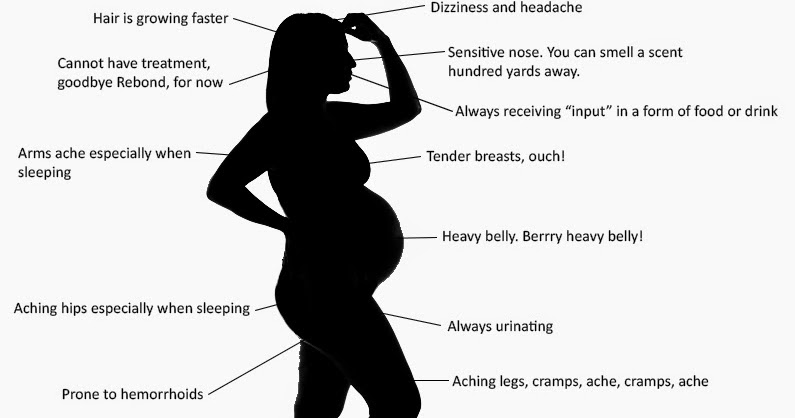 Anatomy of Pregnant Women - The Mom In You