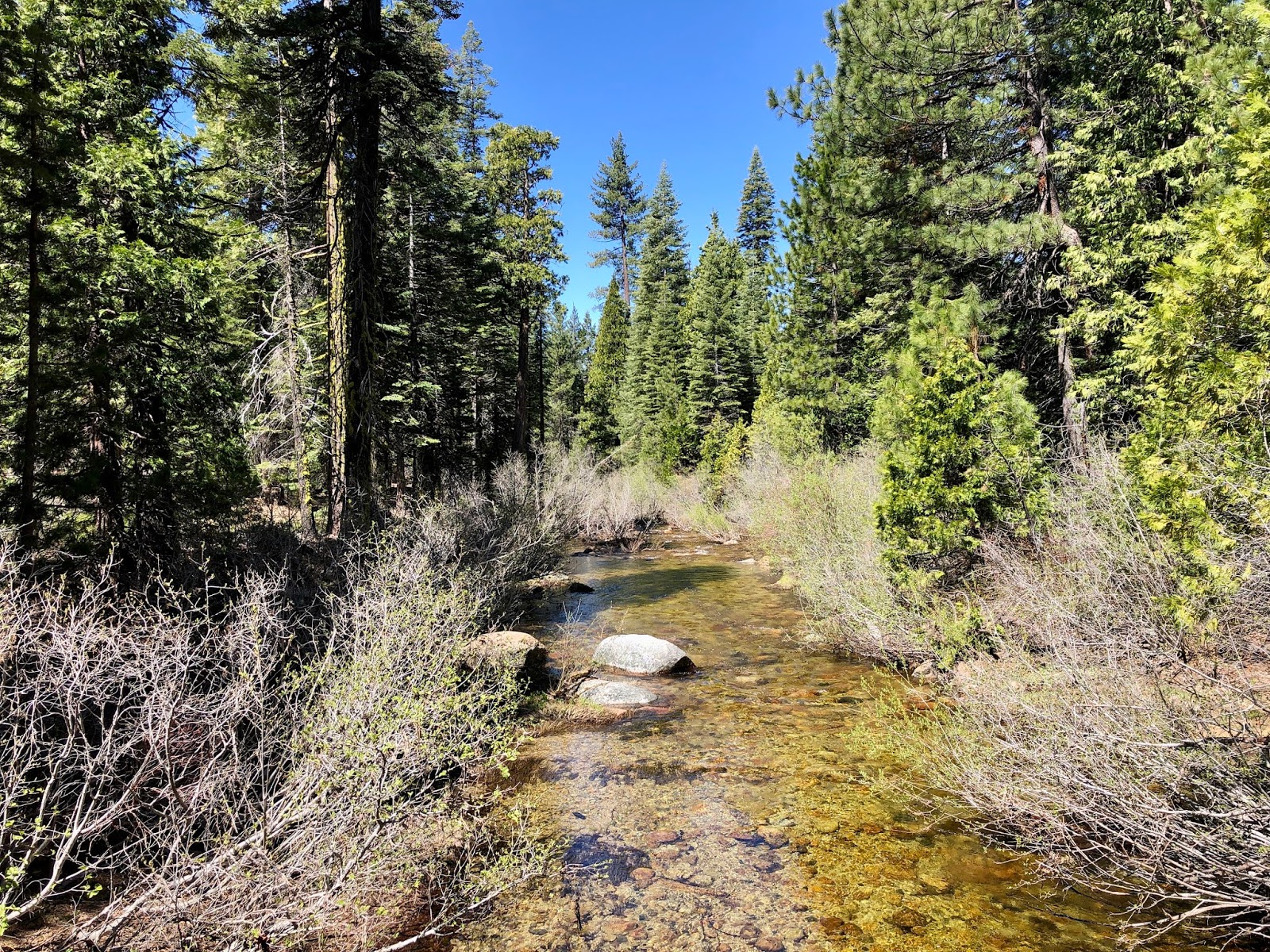 Crystal Basin Boondocking - Memorial Day 2020