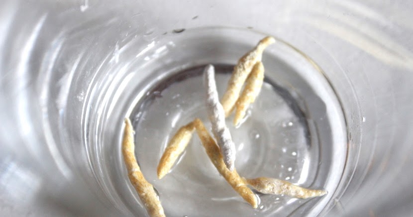 Kinkx: Halloween special, how to make fake maggots