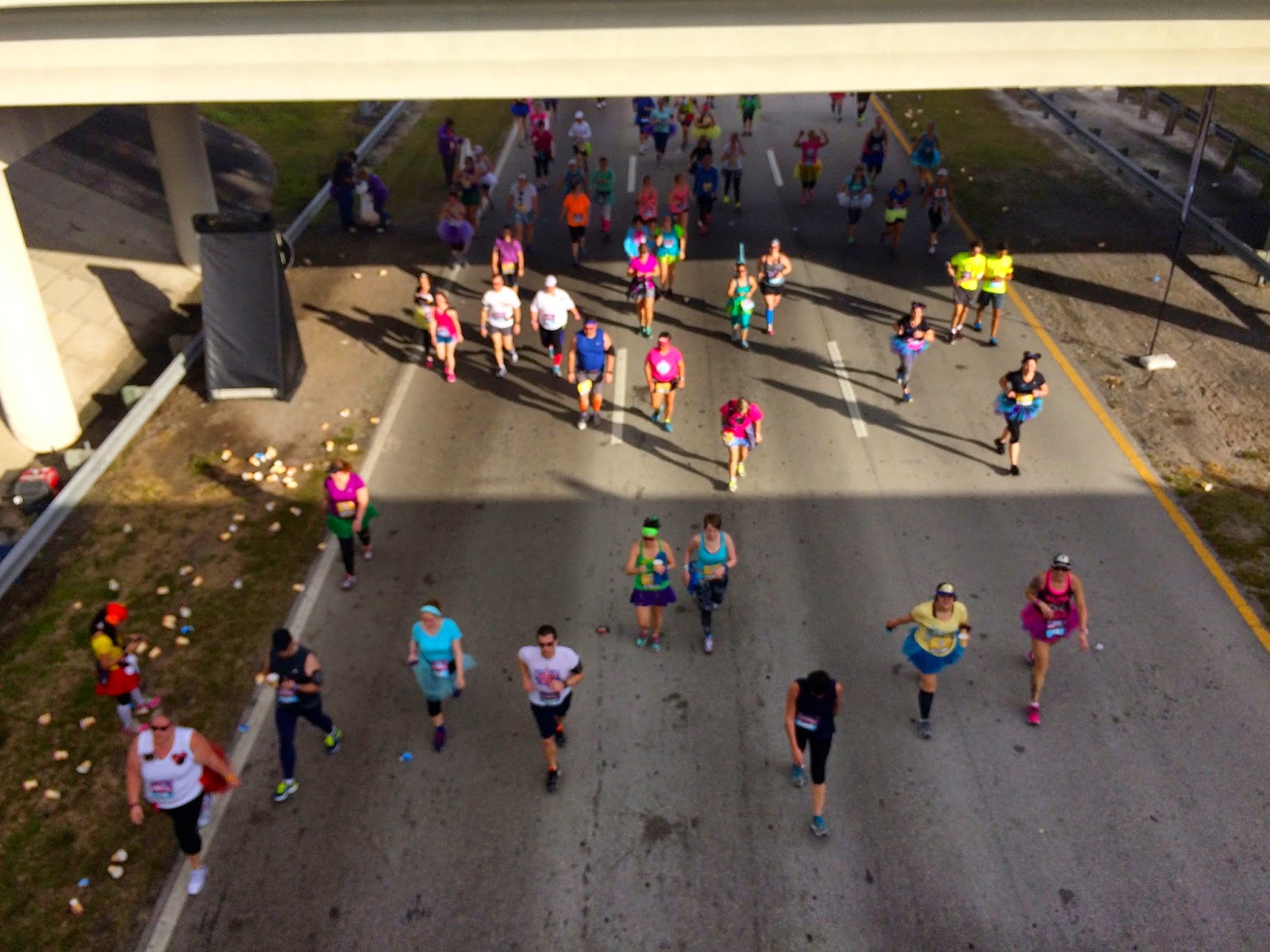 Adventures of a Middle-Aged Drama Queen: runDisney's Princess Half ...