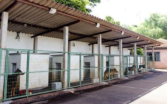 CRIAÇÃO DE ANIMAIS: Montando um Canil