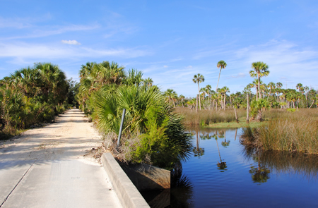 Desolation Florida: The Dixie Mainline and Shired Island