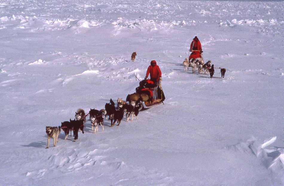 Bob McKerrow - Wayfarer: 30 years ago, Steger and Schurke led historic ...