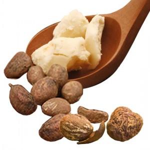 Propiedades del Karité | Experto Vida Sana