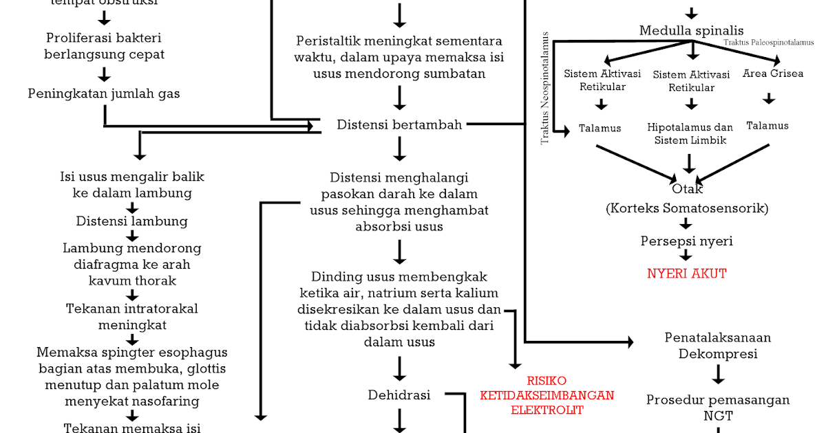 Pathway Obstruksi Usus