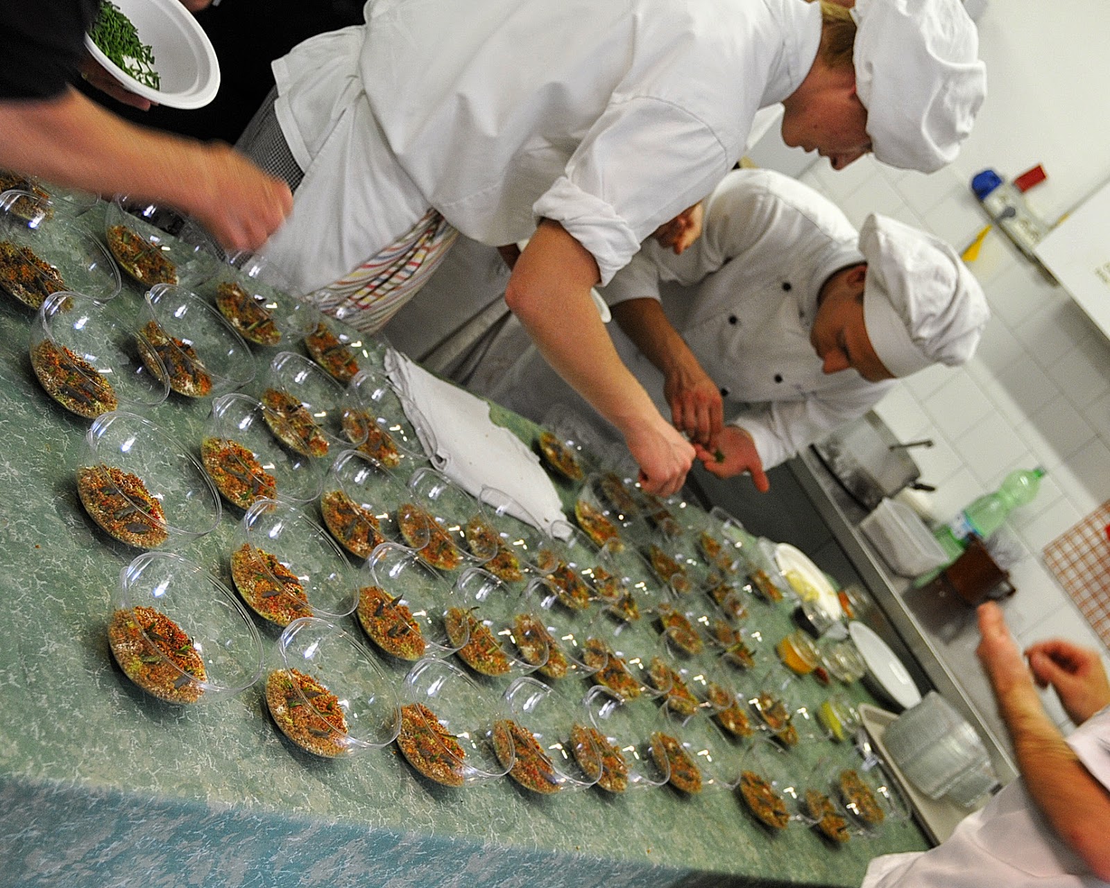 armadillo bar | vino-cibo e musica: Meditaggisca 2014 | La prima ...