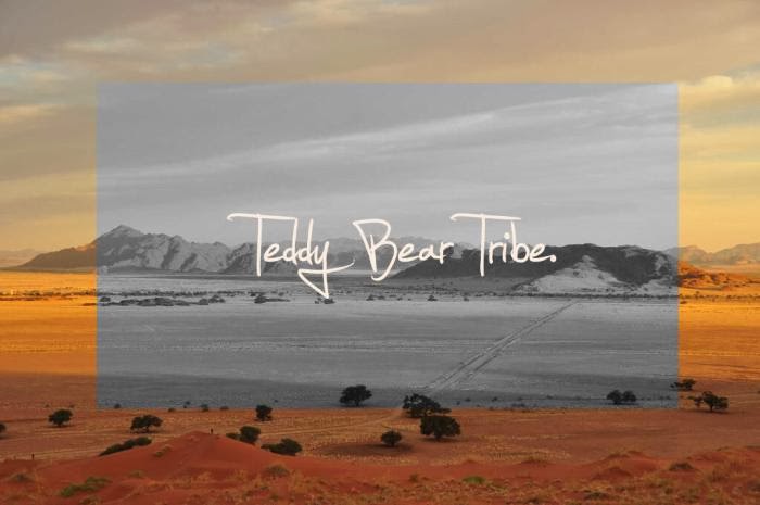 conformists: Teddy Bear Tribe
