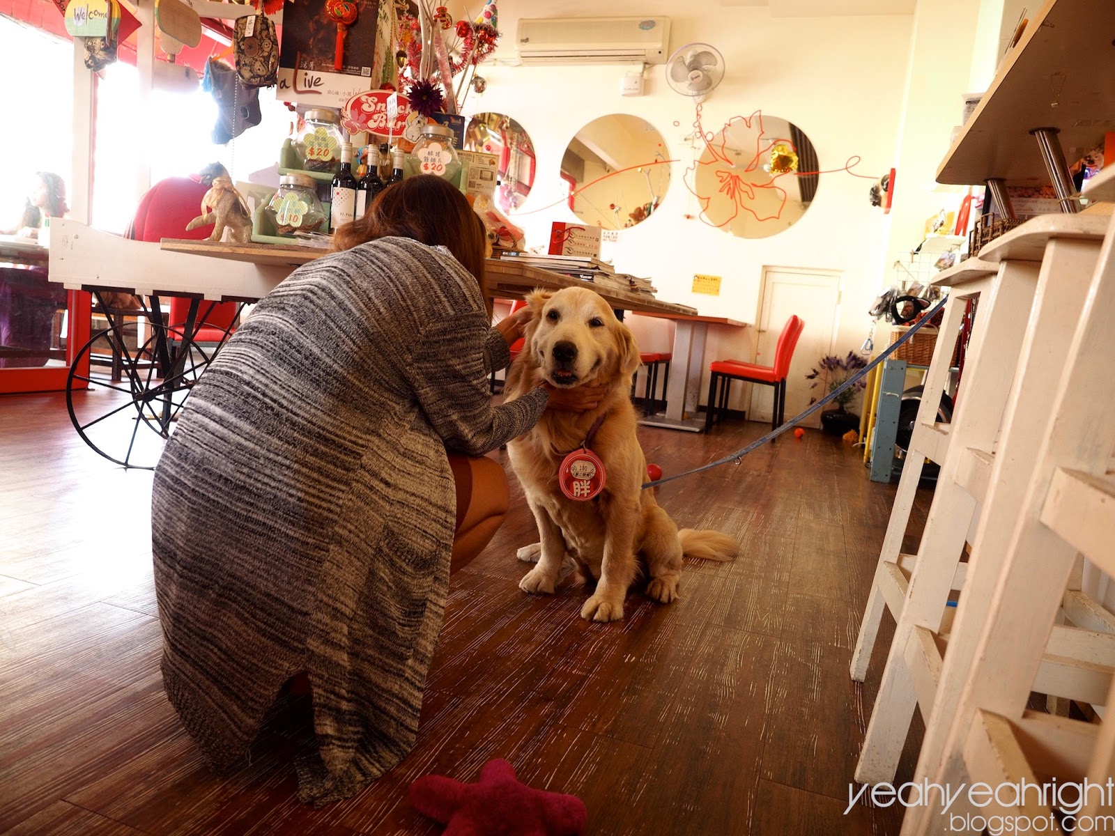 Hello.: Taipei Day 5 - Breakfast & a Dog Cafe